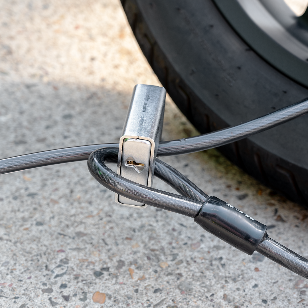 DL18 - DISC LOCK 10MM DUAL USE*