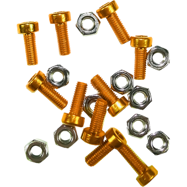 RH1AG - REGO LABEL HOLDER SCREW KIT GOLD